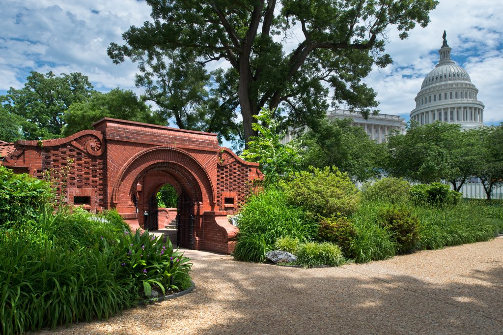 Staff - Olmsted Network