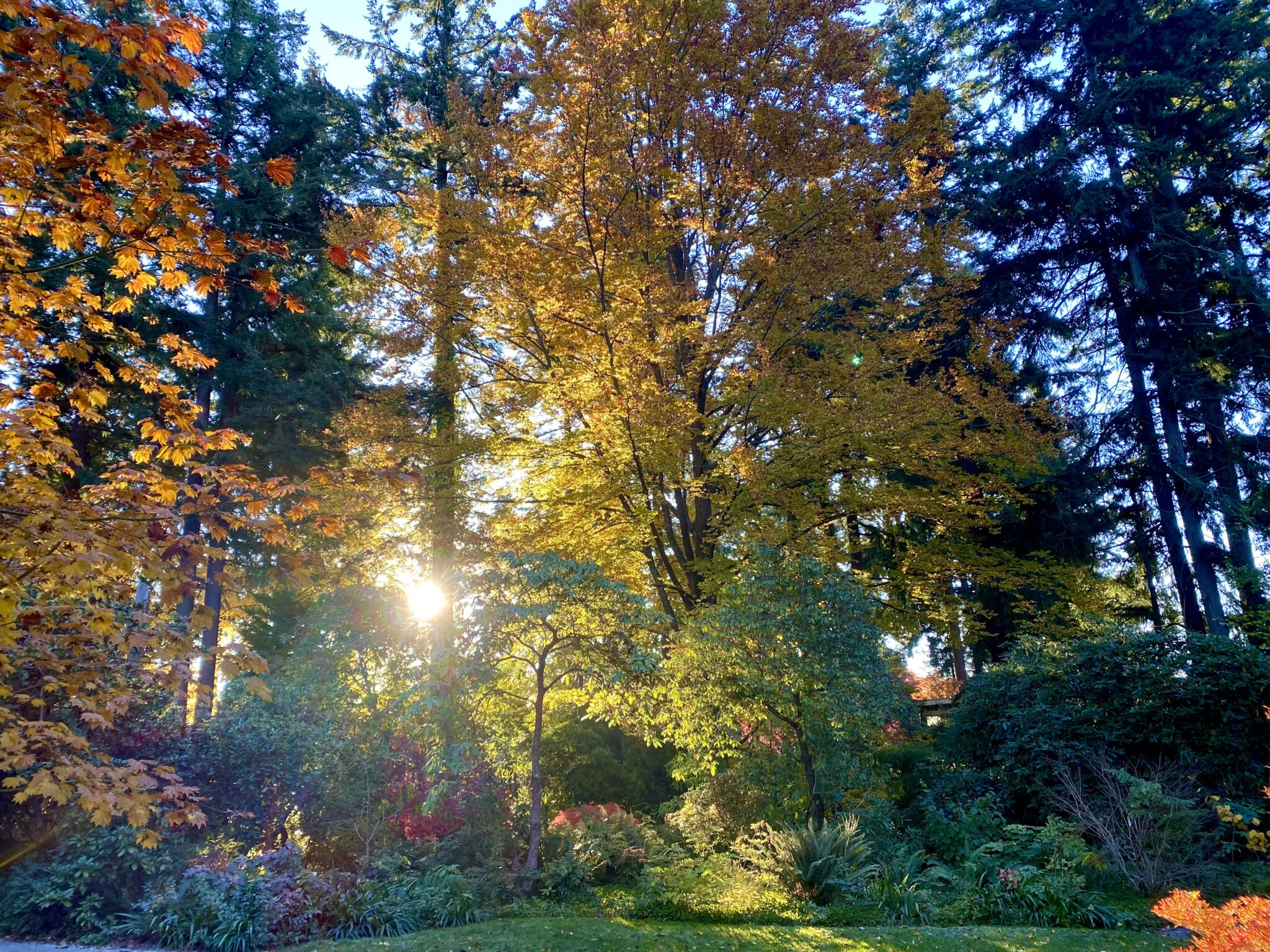 Dunn Gardens - Olmsted Network