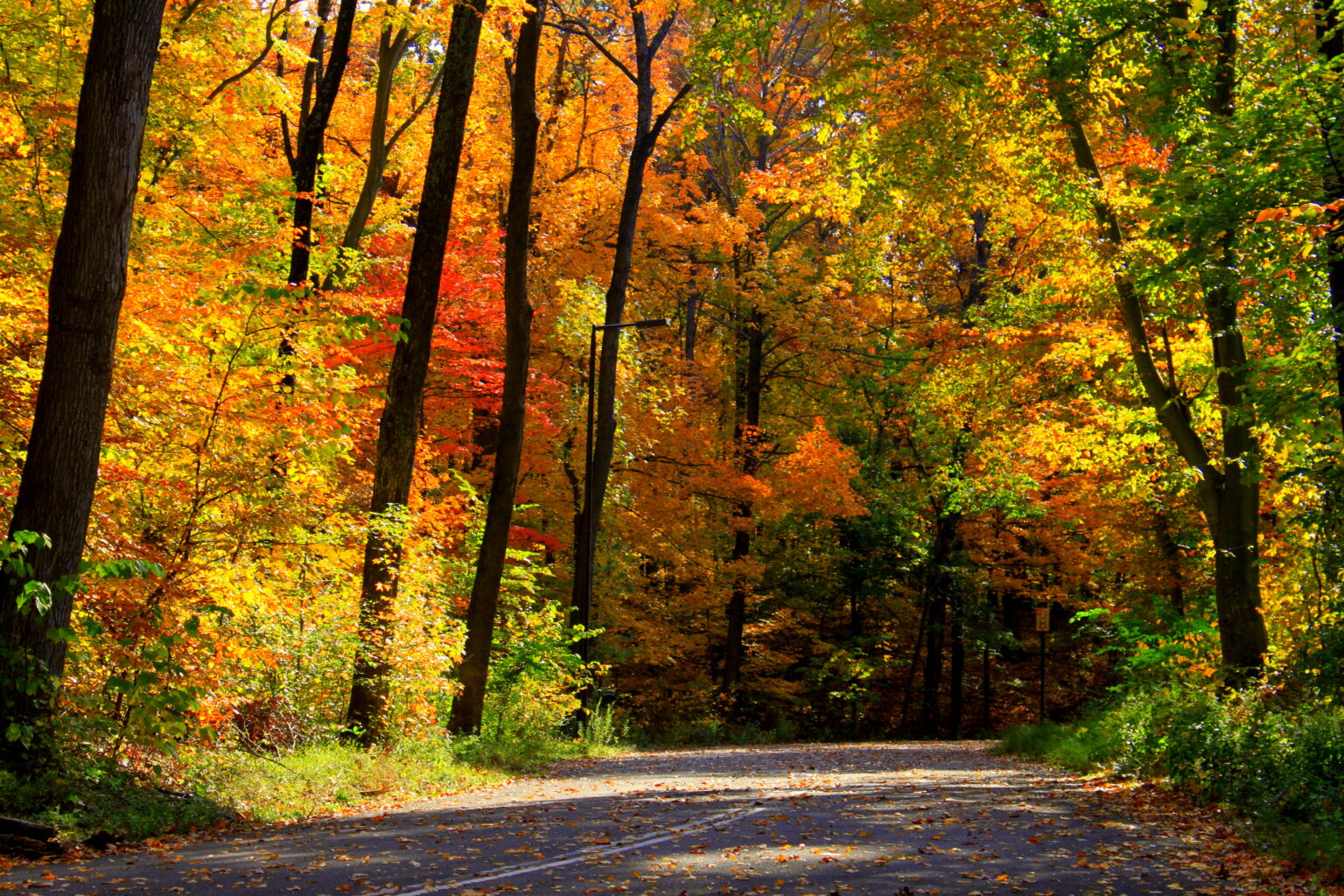 Olmsted Parks Conservancy - Olmsted Network