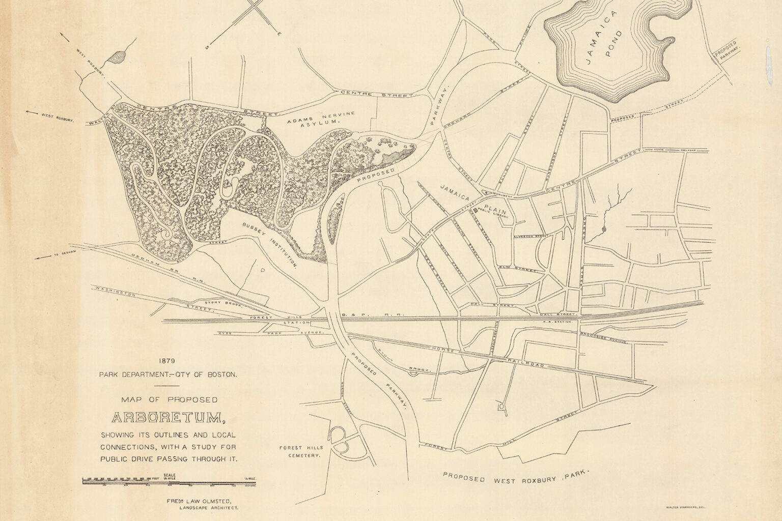 Arnold Arboretum - Olmsted Network