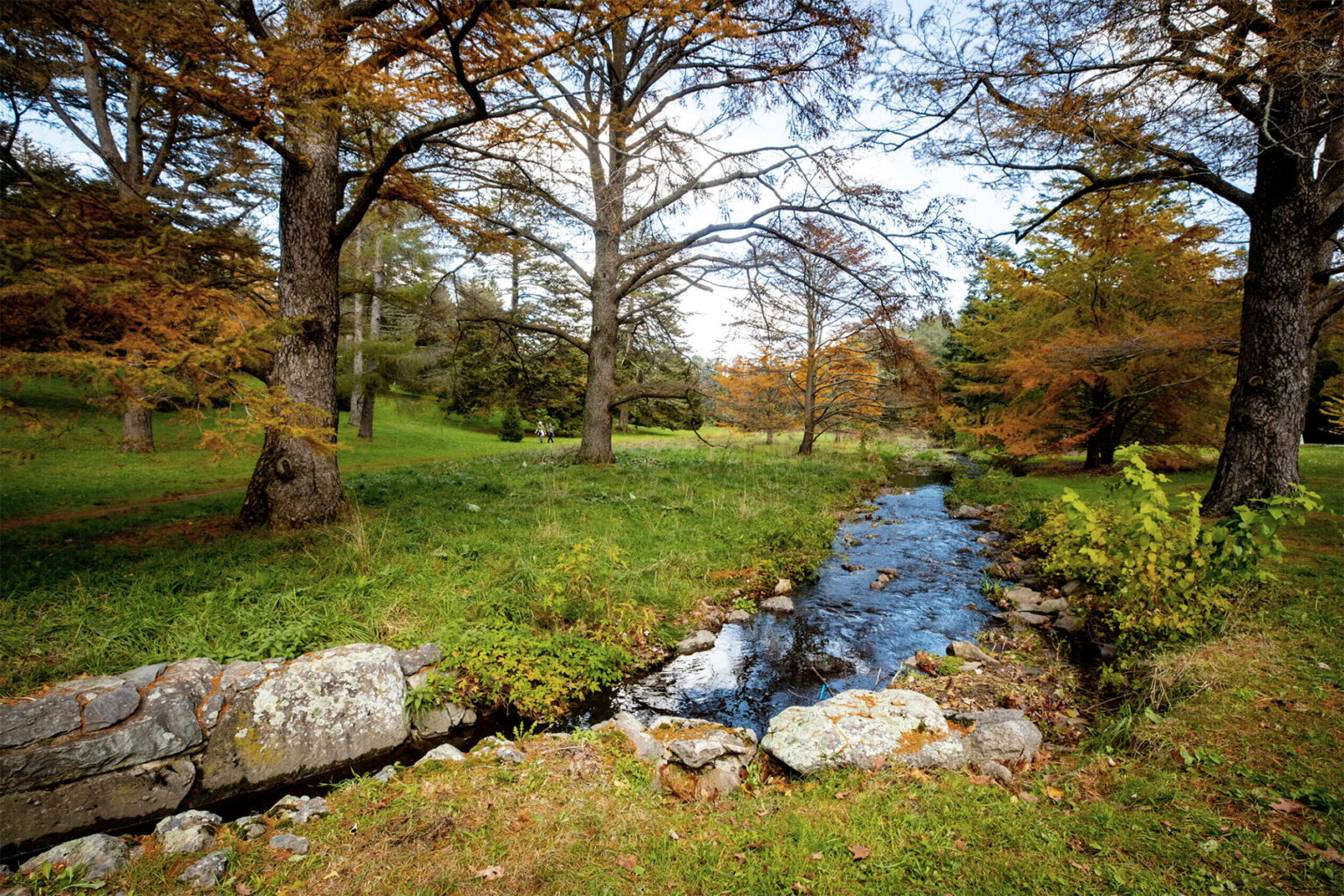 Arnold Arboretum - Olmsted Network
