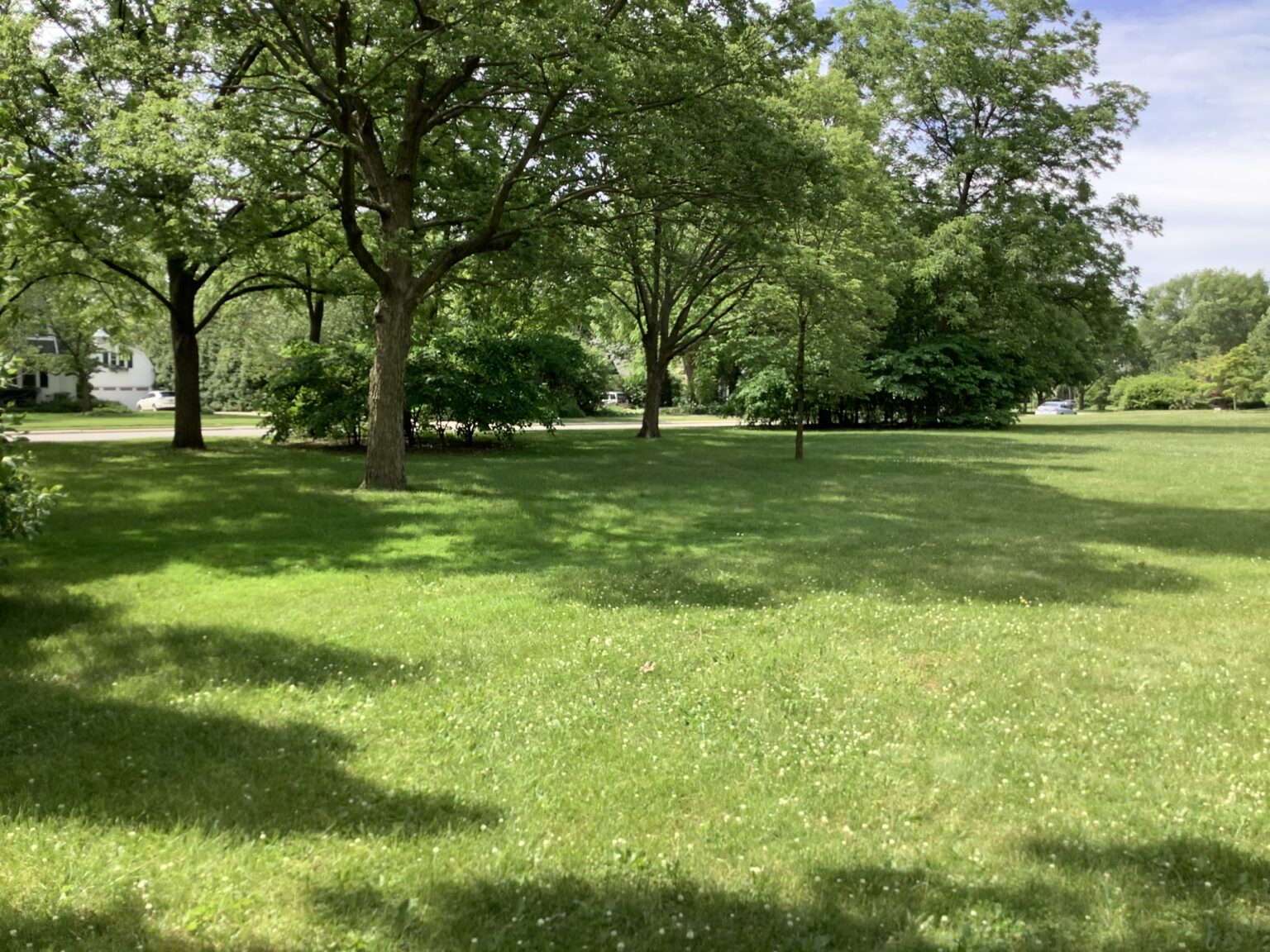 Riverside - Olmsted Network