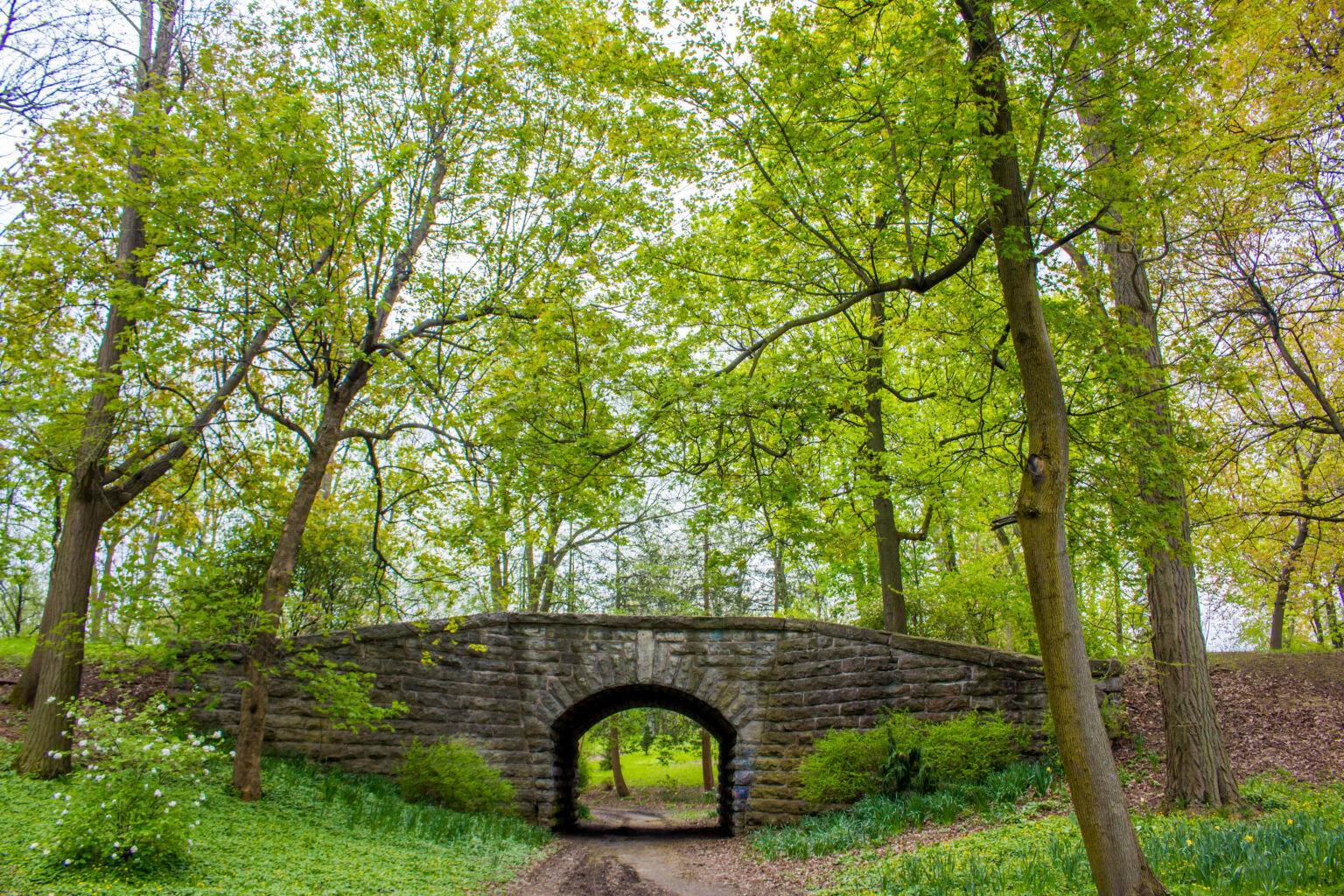 Buffalo Park System - Olmsted Network