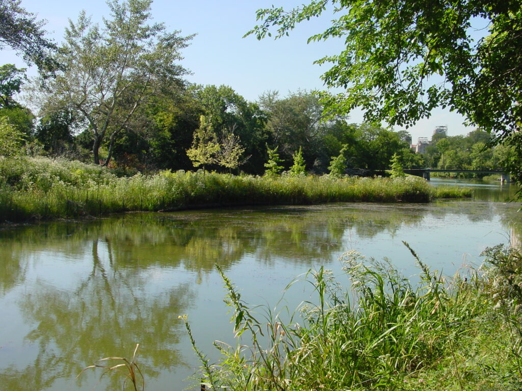 Jackson Park - Olmsted Network