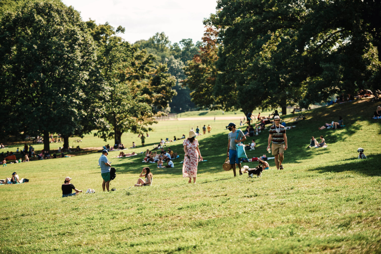 Prospect Park - Olmsted Network