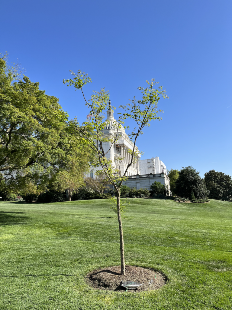 Congress Honors FLO with Tree Planting - Olmsted Network