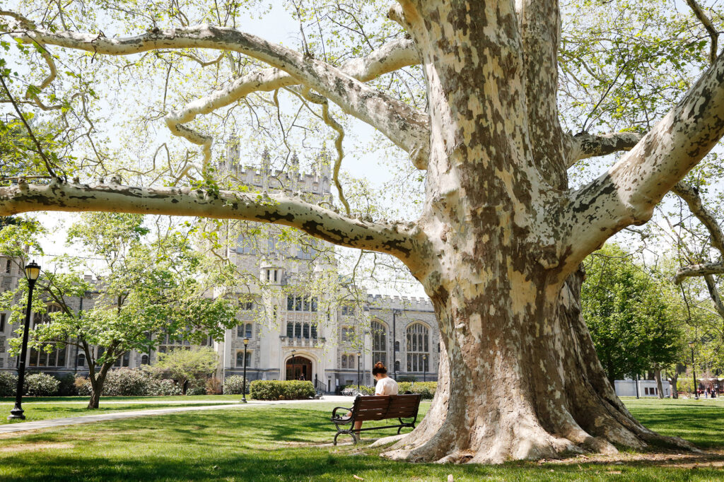 Vassar College - Olmsted Network