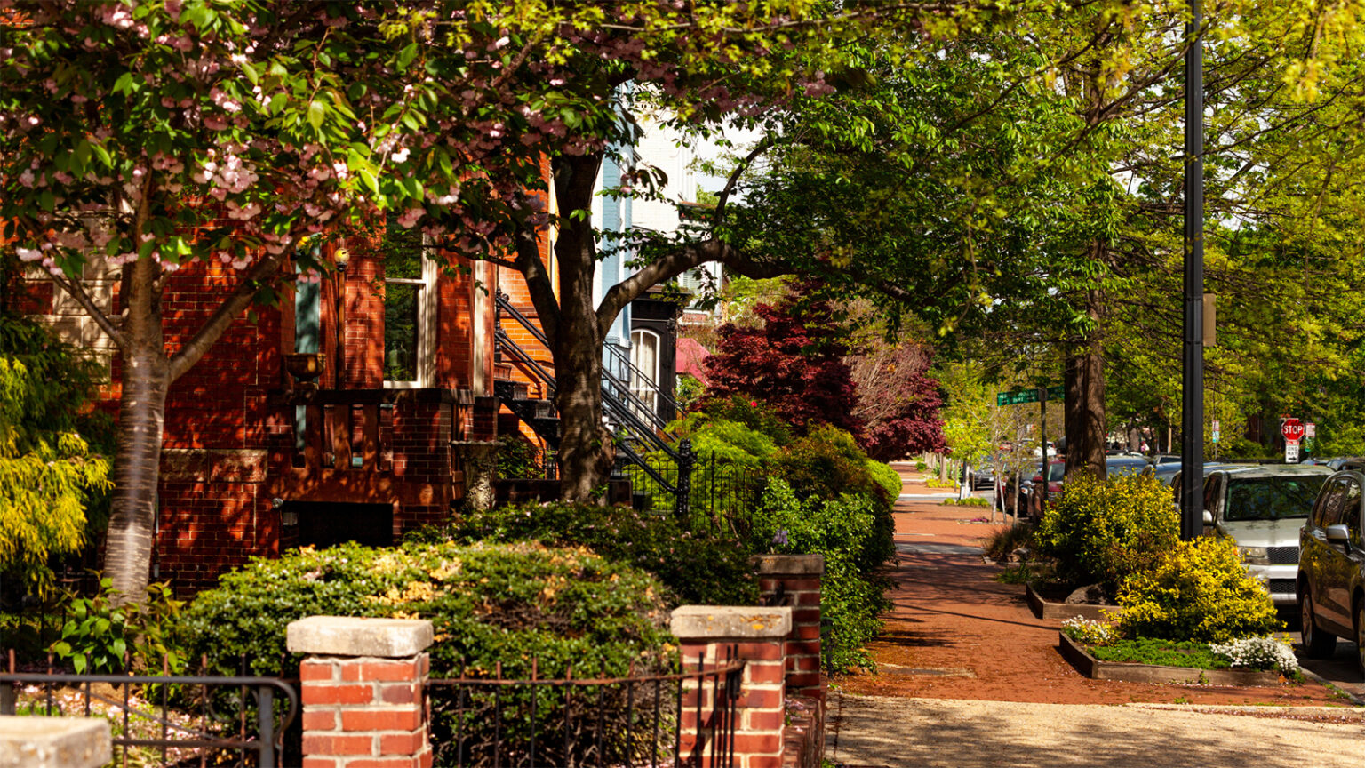 Mythbusting: The "Trees and Crime" Myth - Olmsted Network