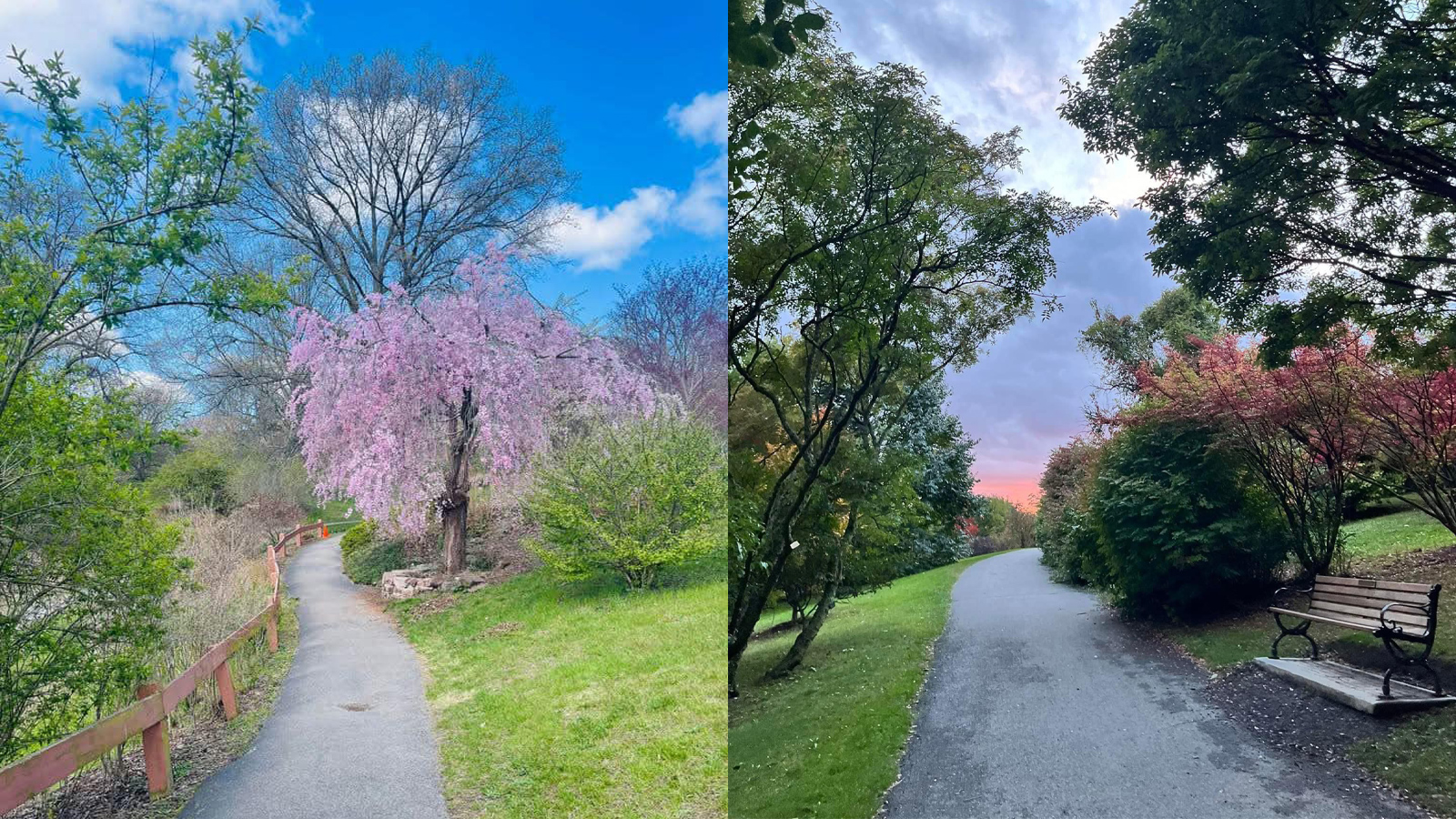 The Art of the Olmsted Landscape - Olmsted Network