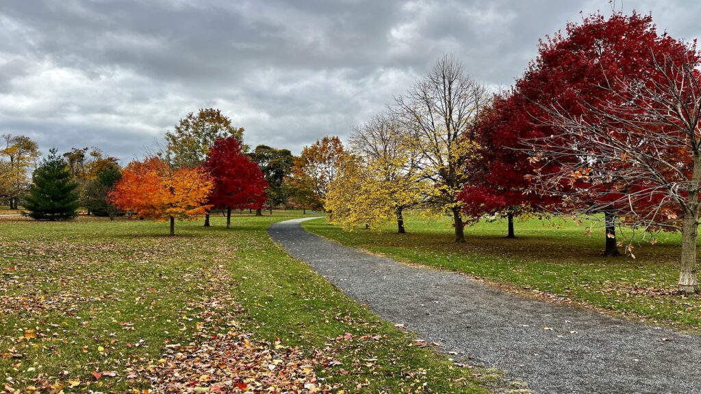 Buffalo Park System - Olmsted Network